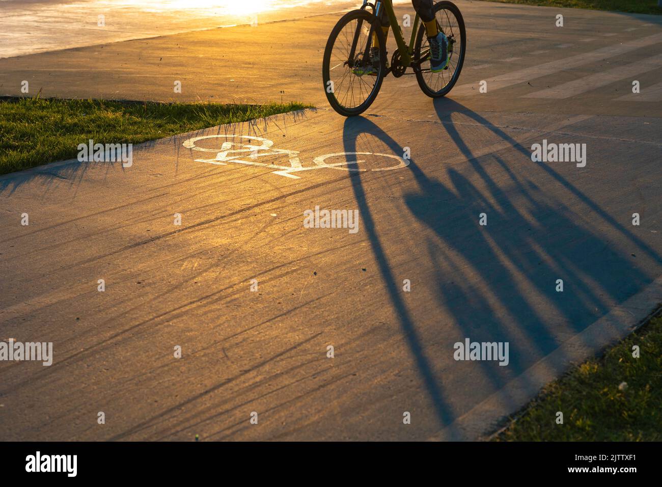 Biking in the park at sunset. Shadow of the bicycle on the bike road in ...