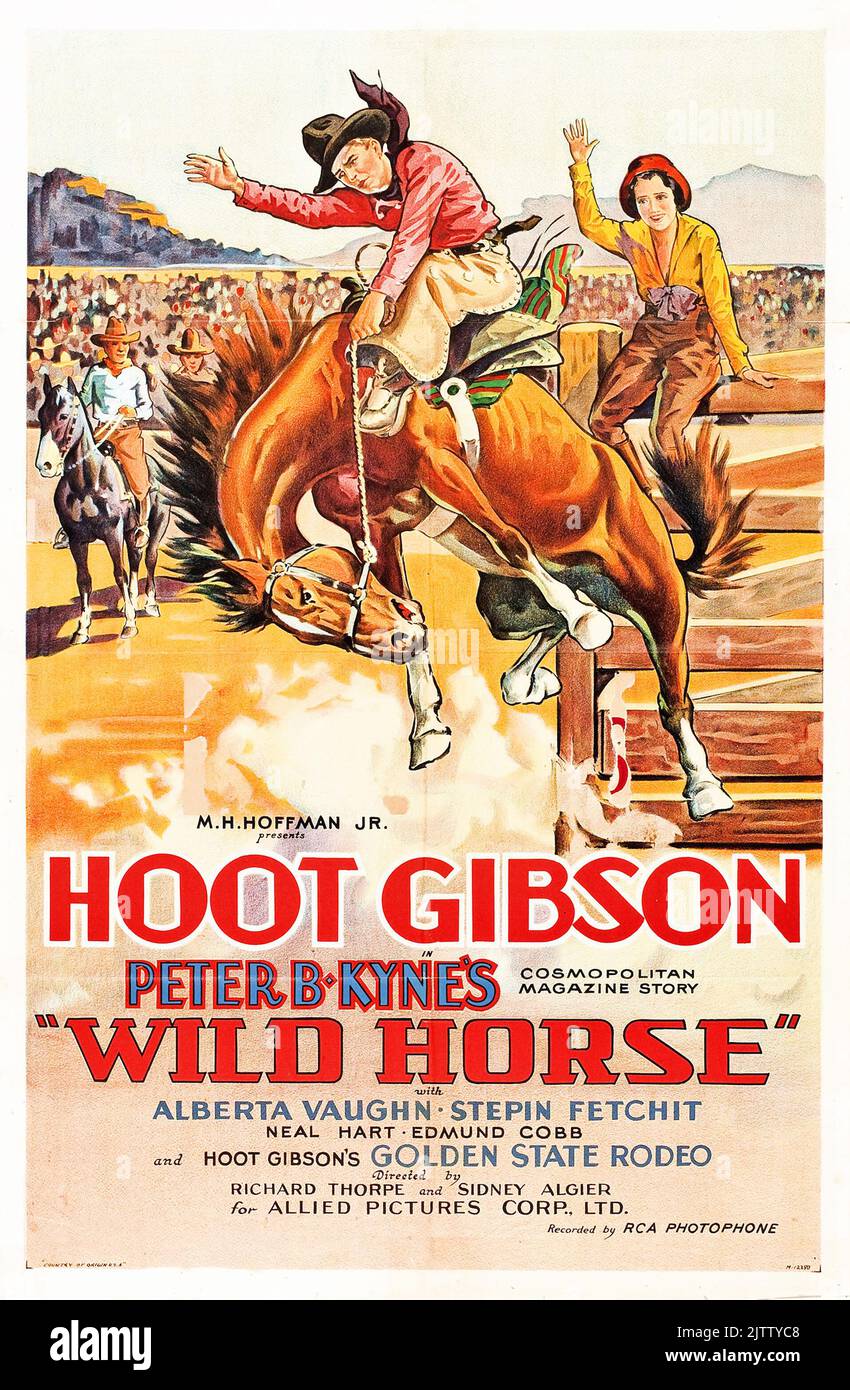 Vintage film poster - Western - Hoot Gibson - Wild Horse (Allied ...