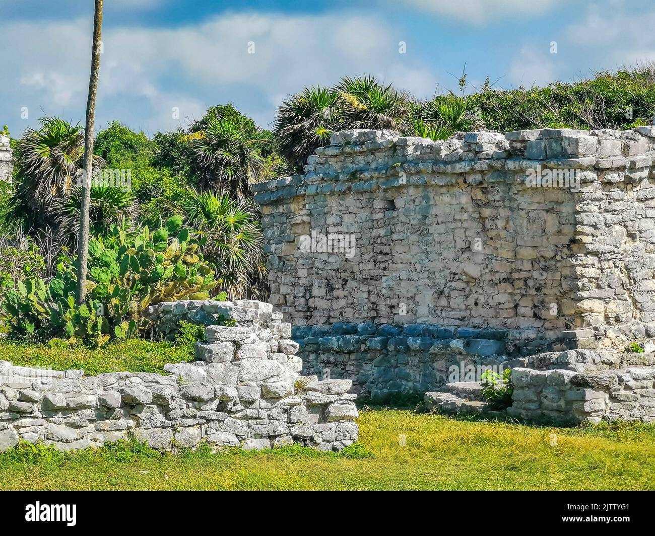 Ancient Tulum ruins Mayan site with temple ruins pyramids and artifacts ...