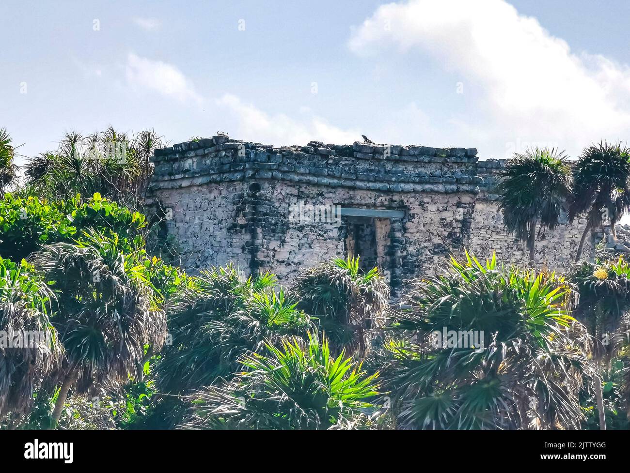 Ancient Tulum ruins Mayan site with temple ruins pyramids and artifacts ...