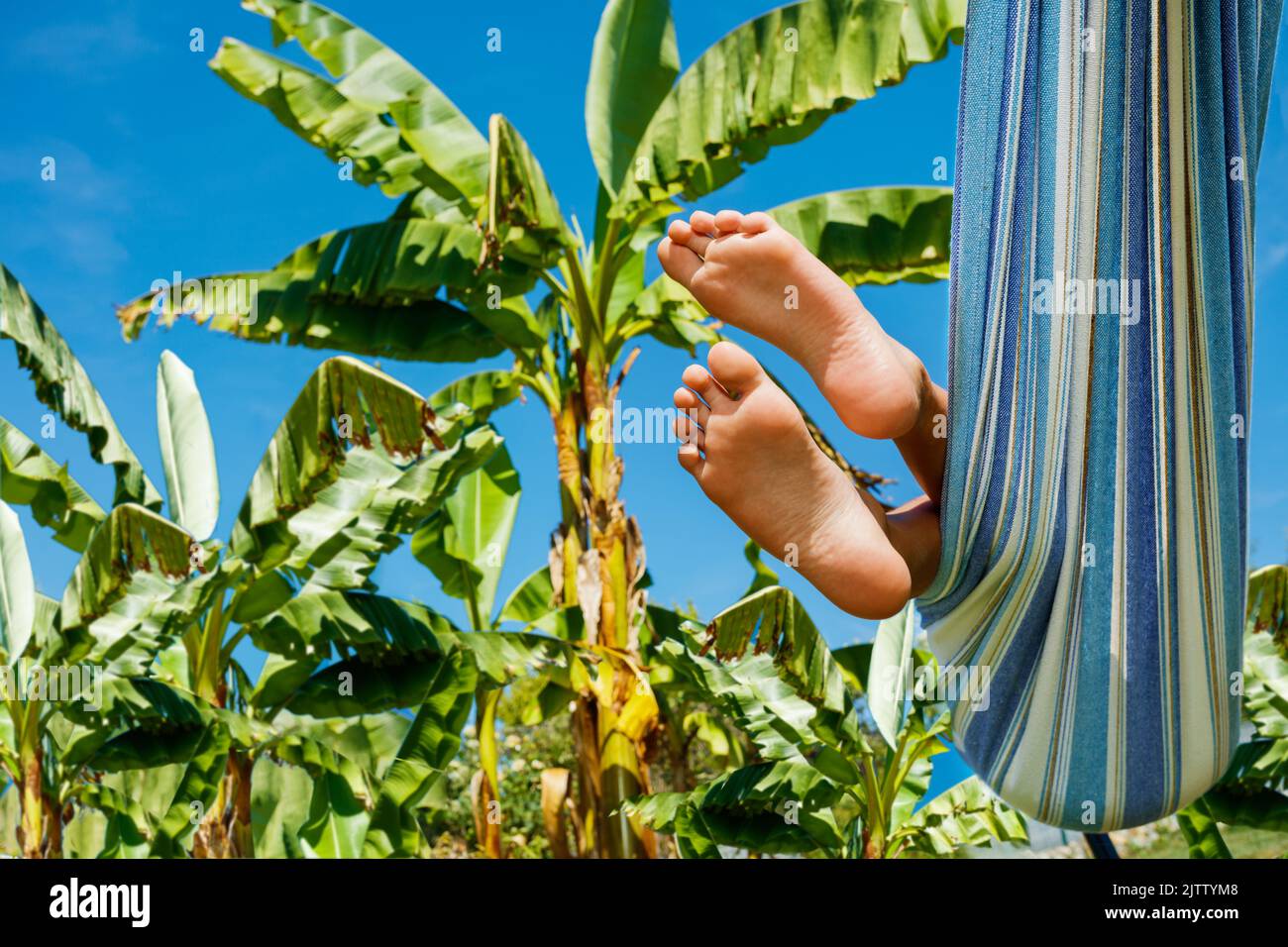 Boy rest in hammock at the tropical garden, feet and banana tree Stock ...