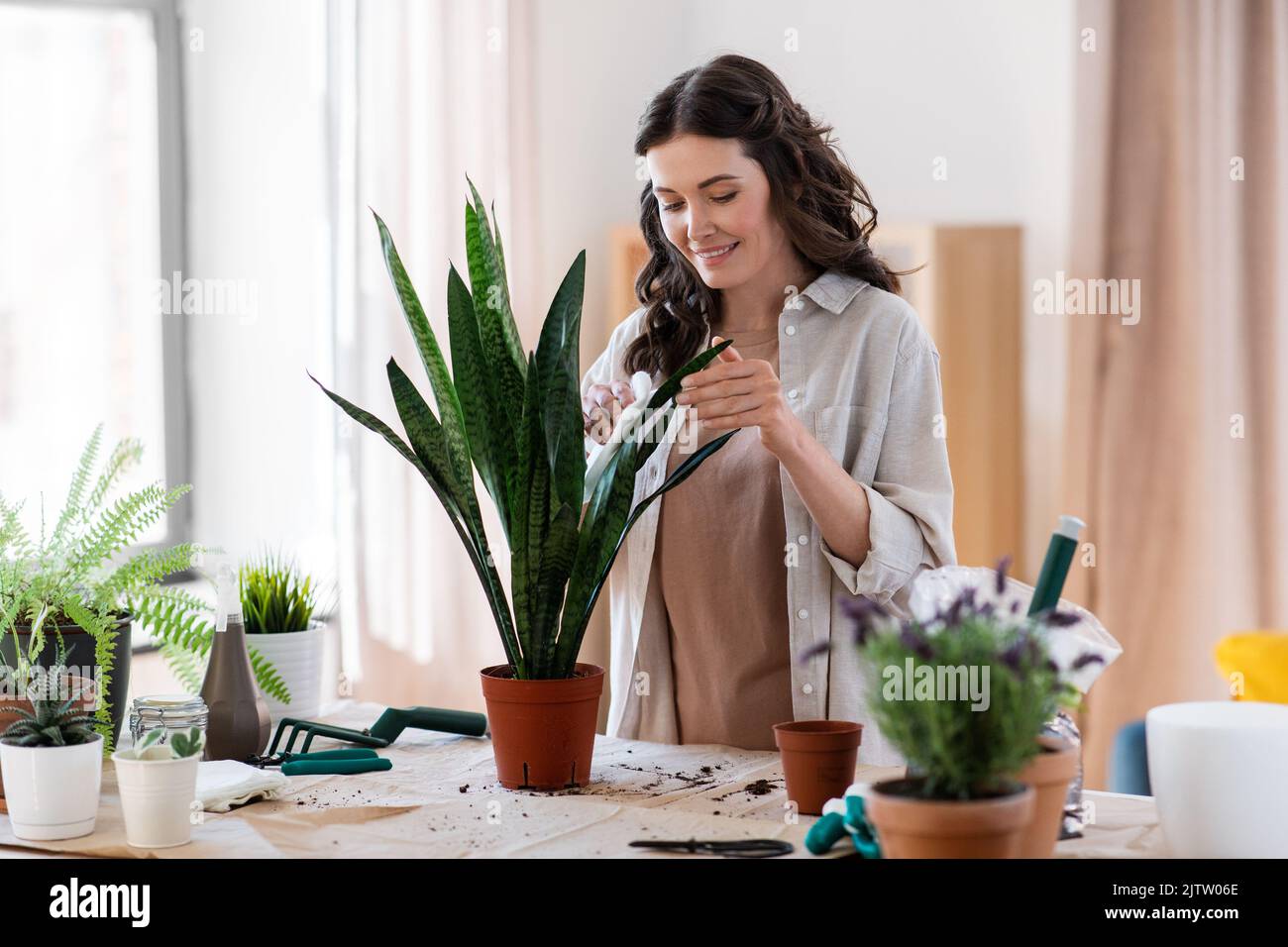 Cleaning flowers hi-res stock photography and images - Alamy
