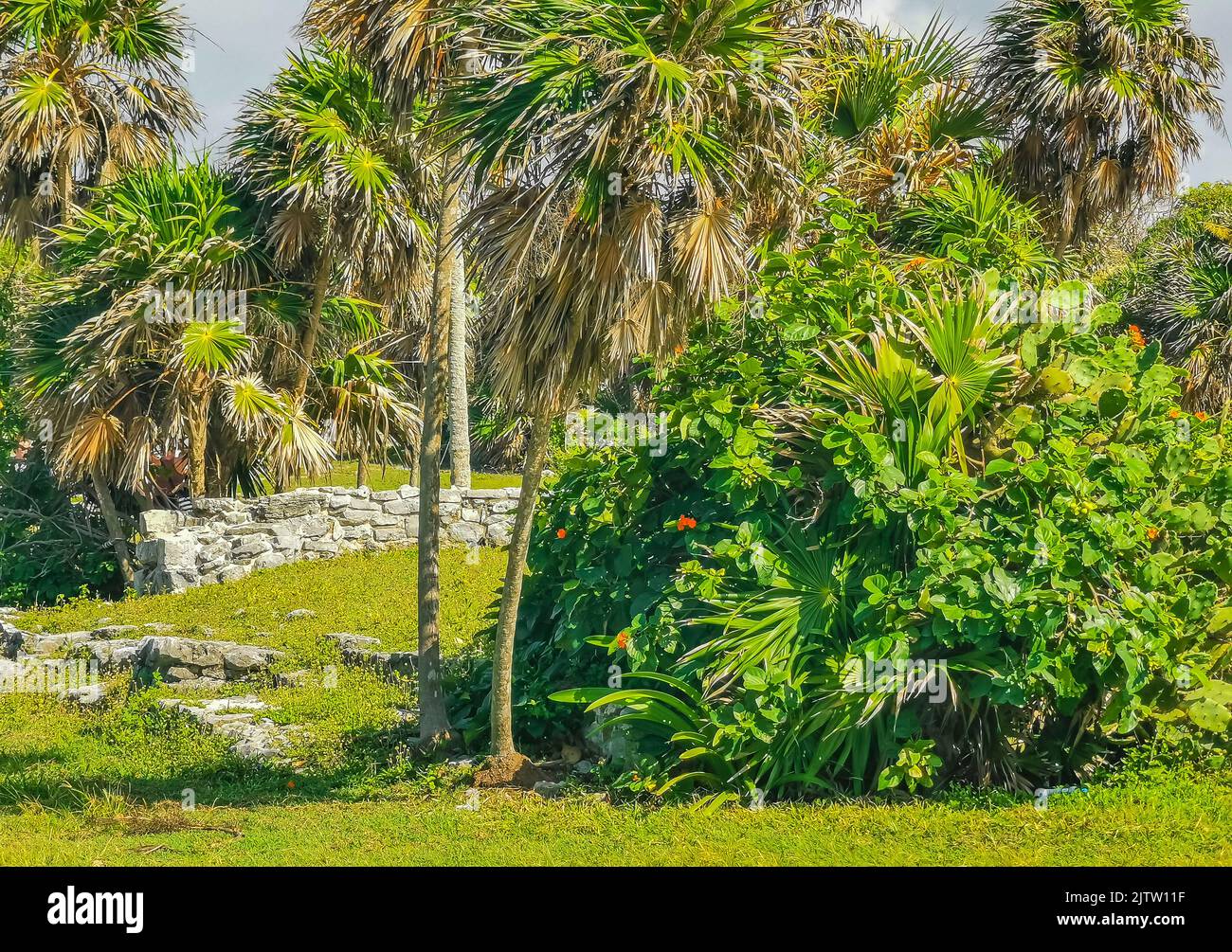 Ancient Tulum ruins Mayan site with temple ruins pyramids and artifacts ...