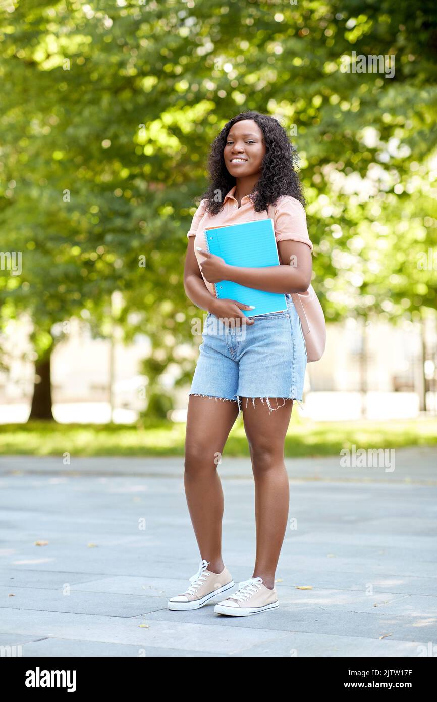 african student girl with notebooks in city Stock Photo - Alamy