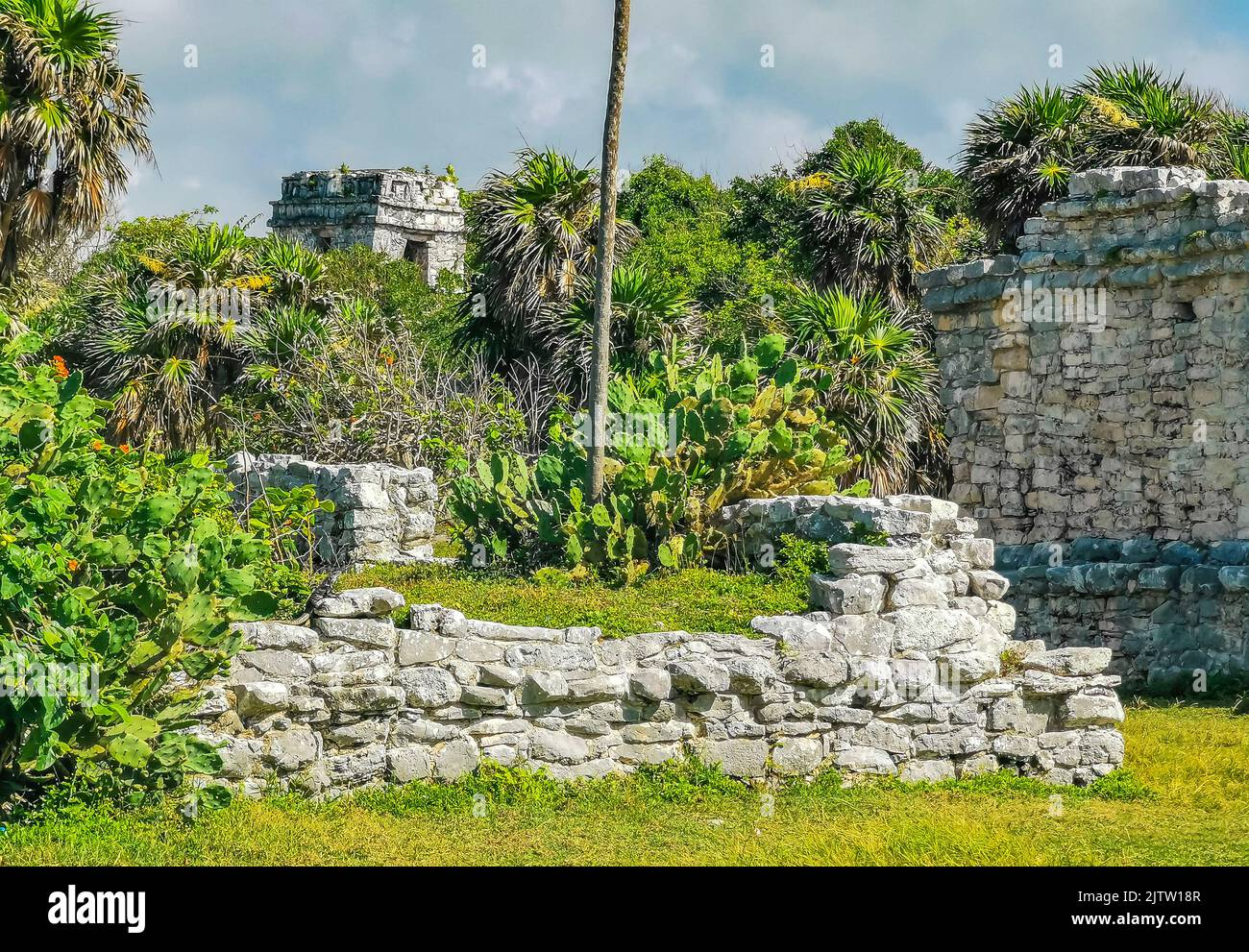 Ancient Tulum ruins Mayan site with temple ruins pyramids and artifacts ...