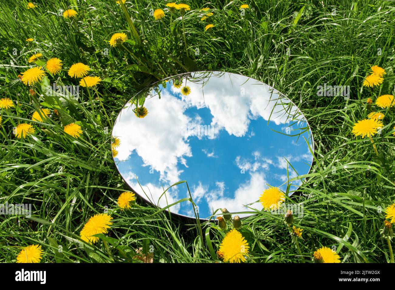 Round mirror on grass hi-res stock photography and images - Alamy
