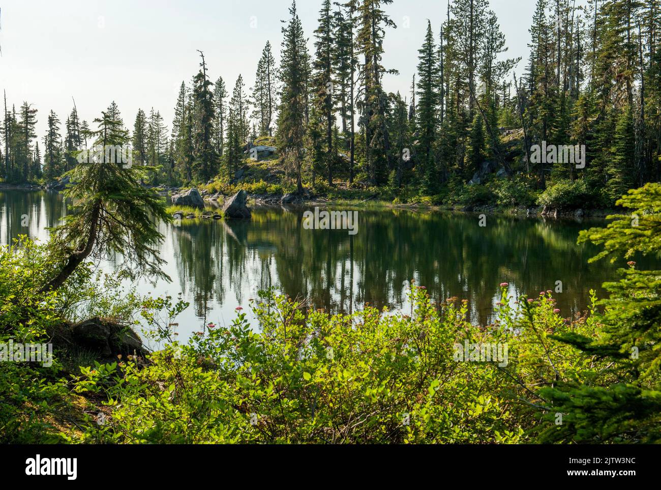 Notch Lake, in Oregon's Diamond Peak Wilderness Stock Photo - Alamy Notch Lake, in Oregon's Diamond Peak Wilderness Stock Photo - Alamy