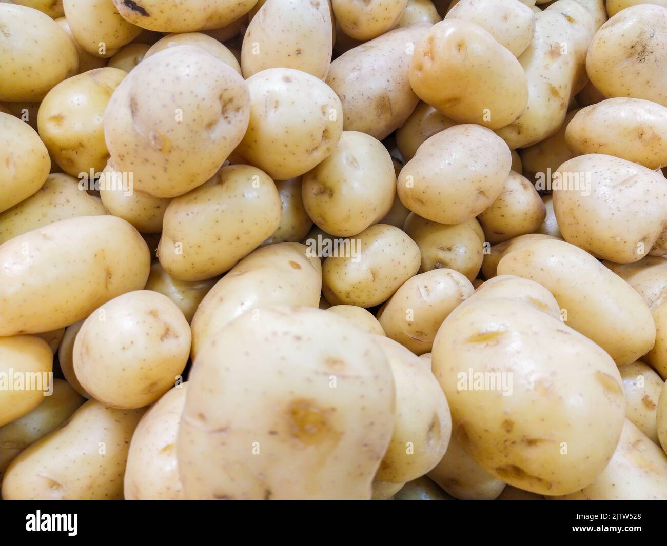 known vegetable with potato, on a stall at an open market in Rio de ...