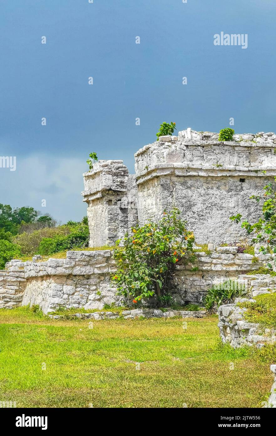 Ancient Tulum ruins Mayan site with temple ruins pyramids and artifacts ...