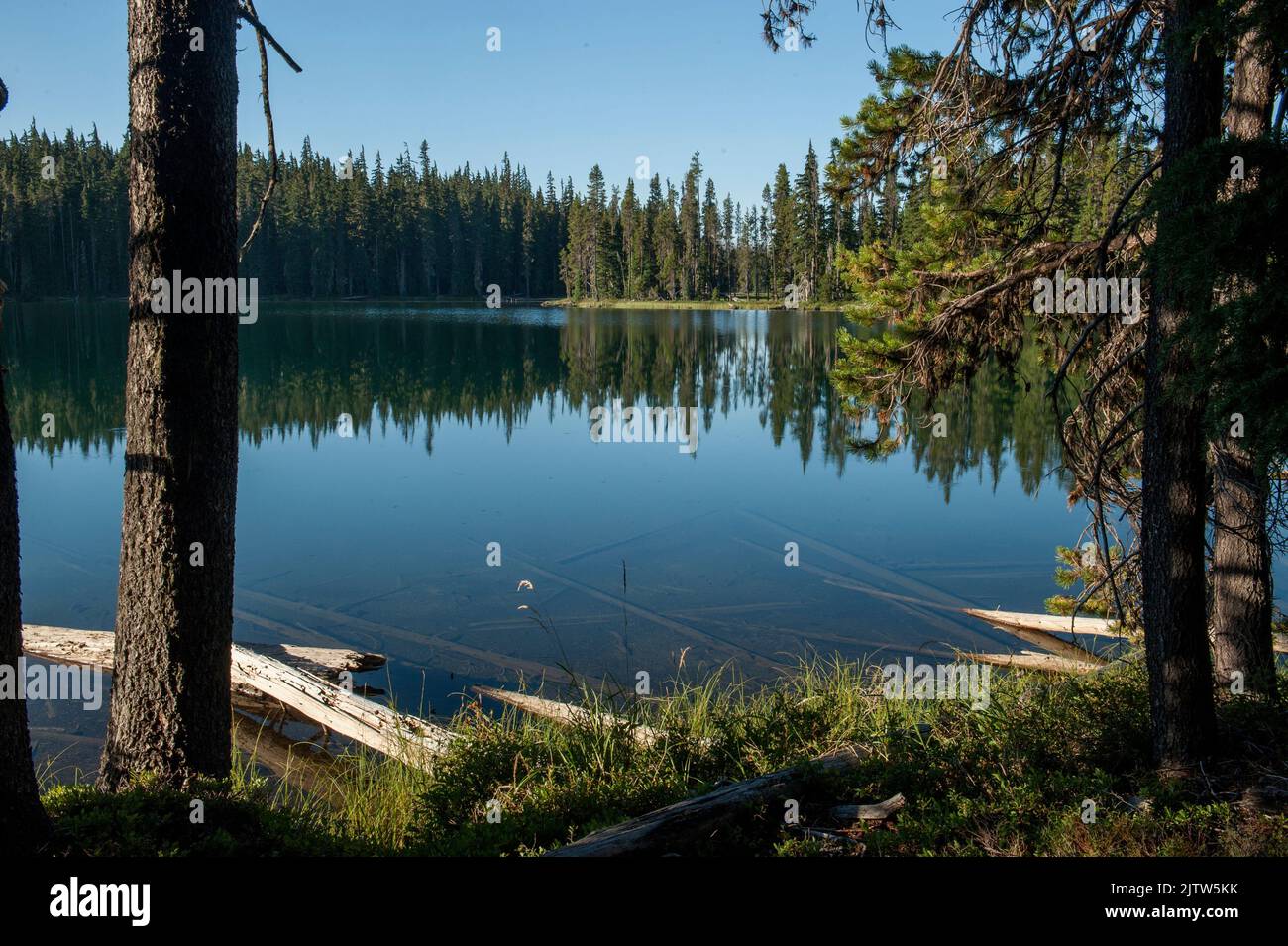 Taylor Lake, high in the Oregon Cascades next to the Pacific Crest ...