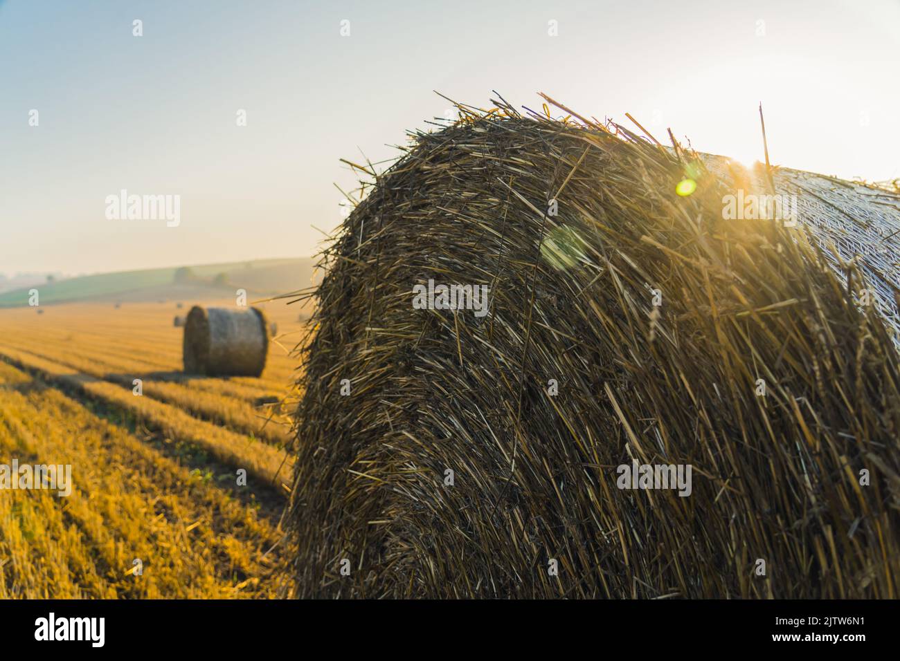 Bale production hi-res stock photography and images - Alamy