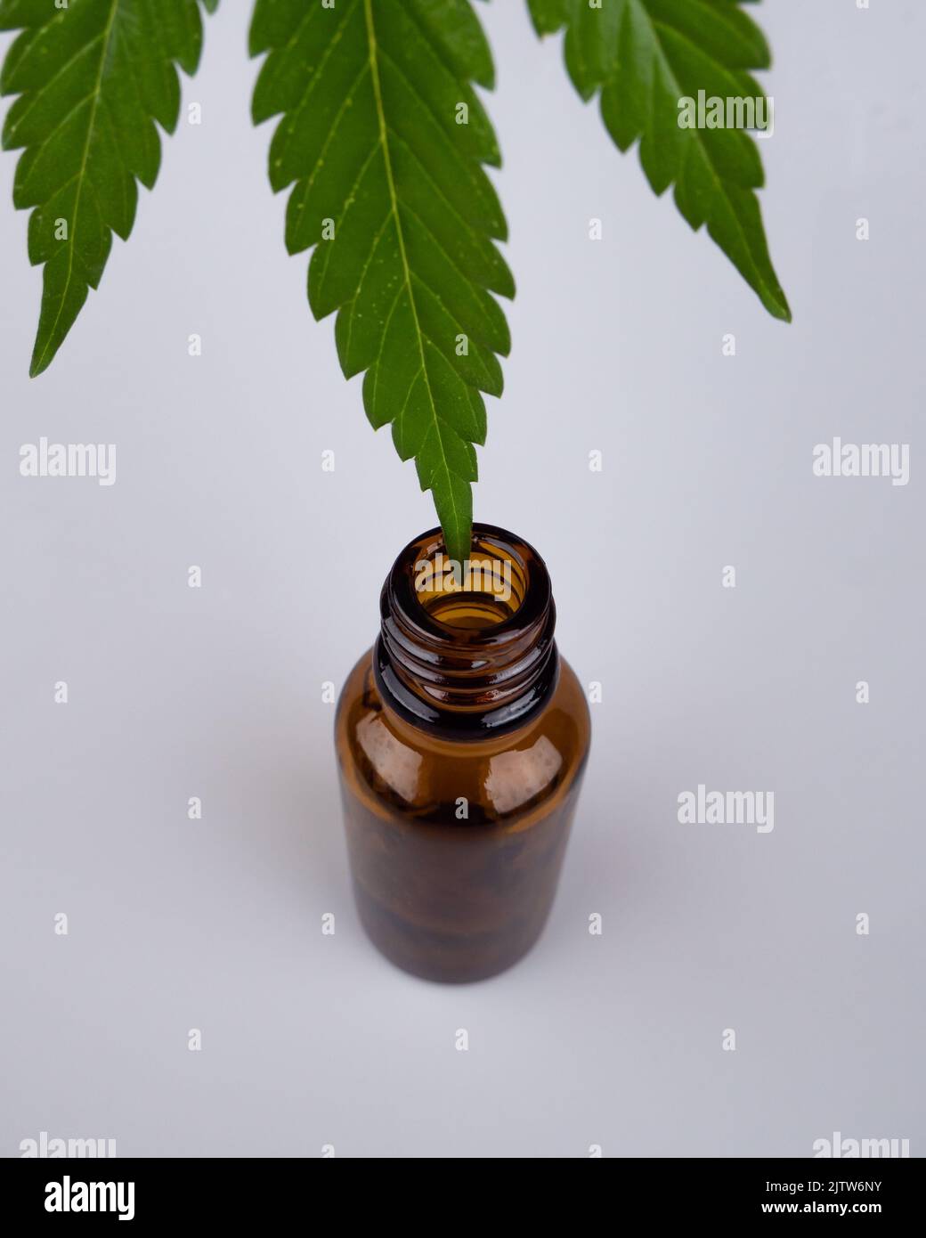 Alternative medicinal leaf hi-res stock photography and images - Alamy