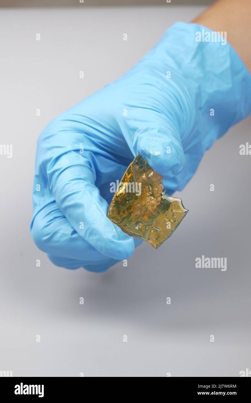 study of cannabis extract, concentrated thc resin content in doctor ...