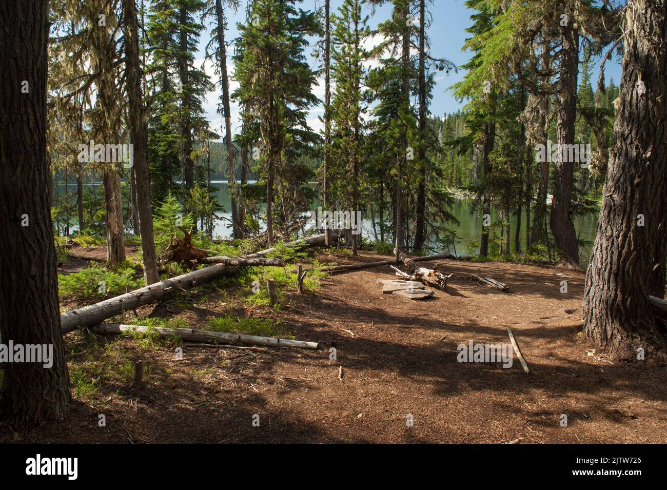 A backpacking campsite at Blow Lake, on the Six Lakes Trail in the ...