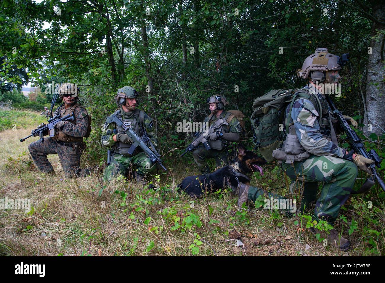 17th air force hi-res stock photography and images - Alamy