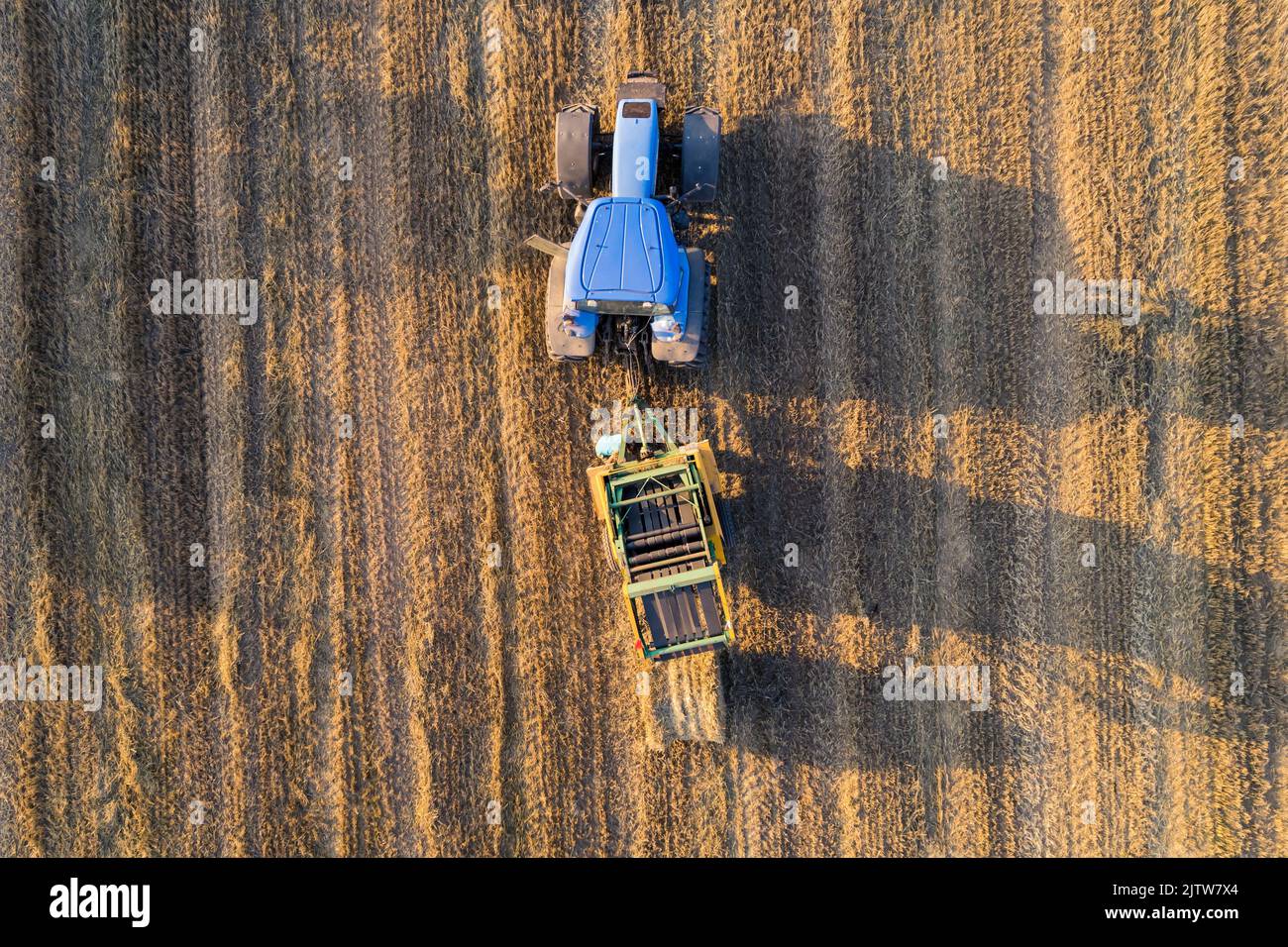Top-down view of blue tractor in sunlit golden field making hay bales ...