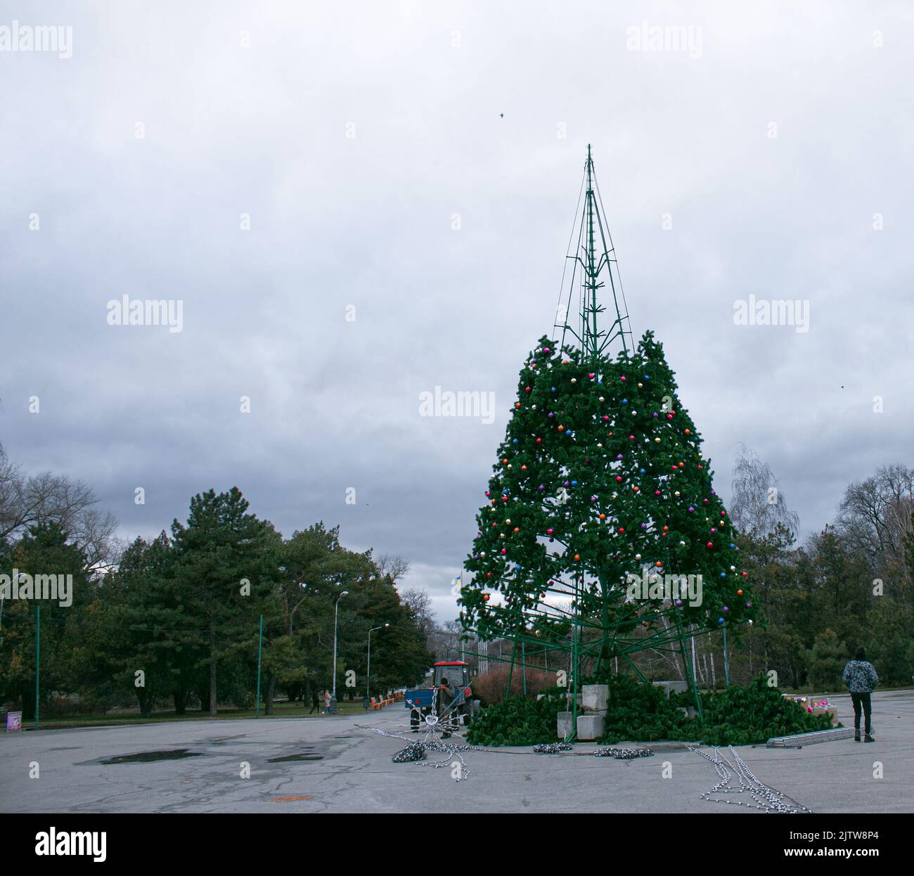 Municipal services are dismantling the city's Christmas tree after the ...