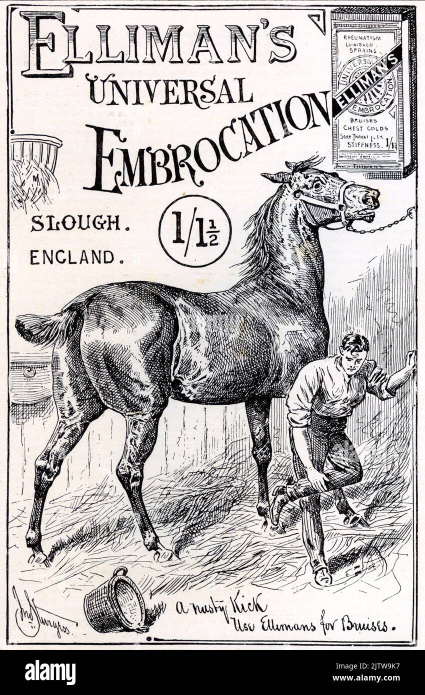 Advertisement for Eliman's universal embrocation in an English ...