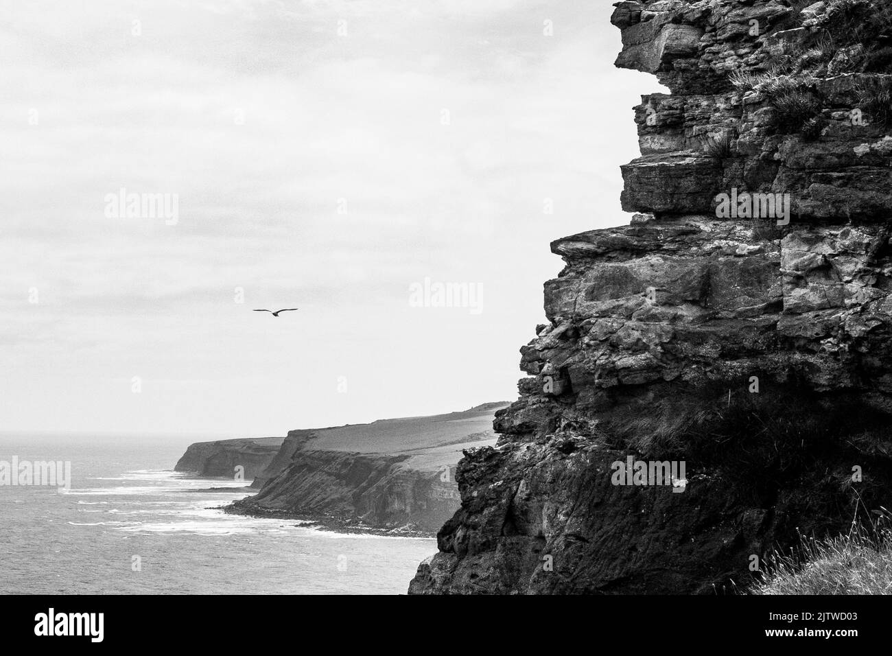 Whitby cliffs Black and White Stock Photos & Images - Alamy