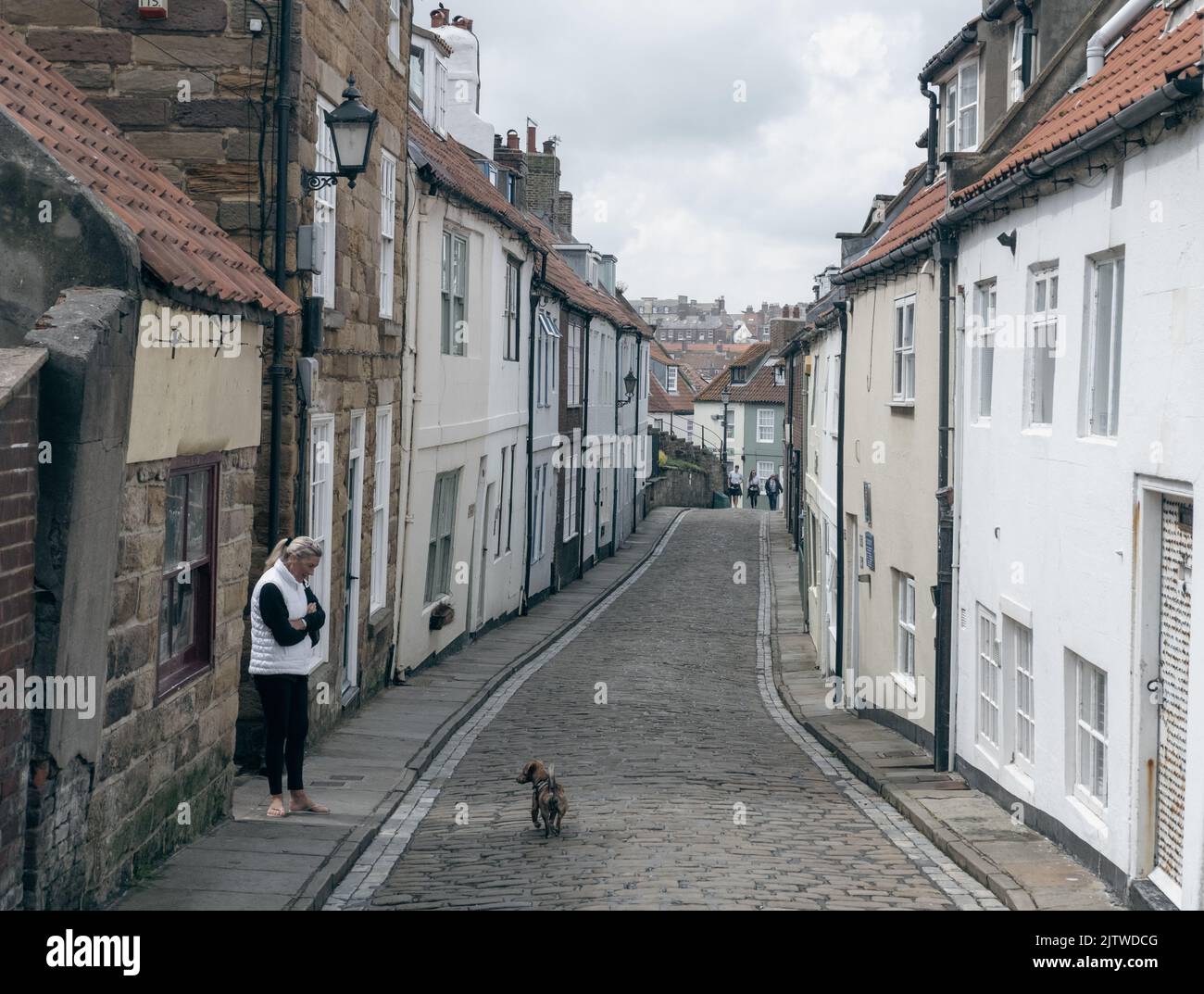 Dog walking down the famous Henrietta Street in Whitby observed by a ...