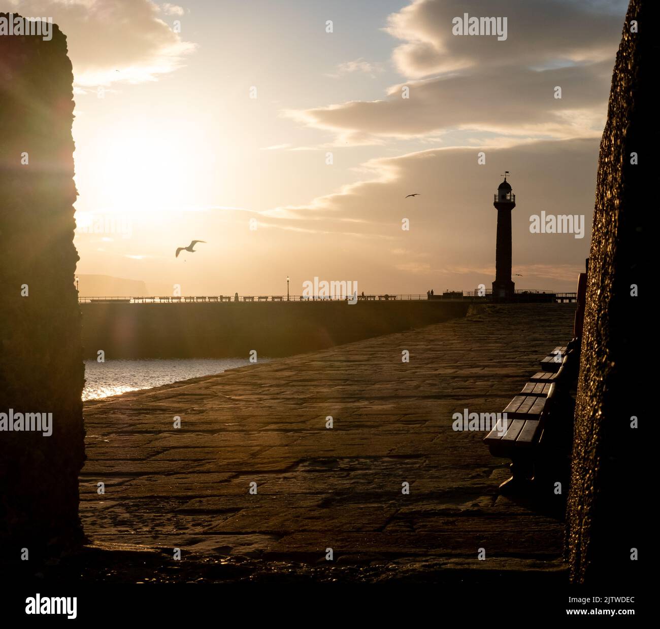 Silhouette of Whitby West Lighthouse Stock Photo - Alamy
