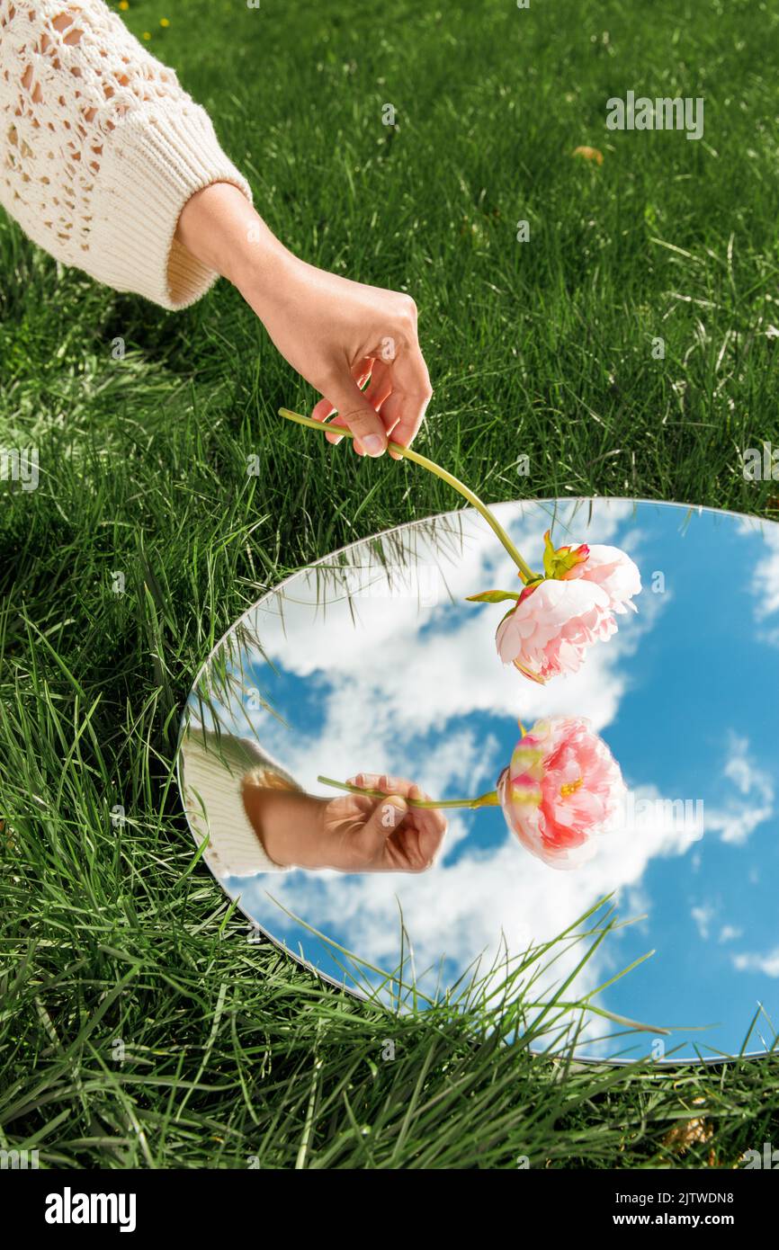 hand with flower and sky reflection in mirror Stock Photo - Alamy