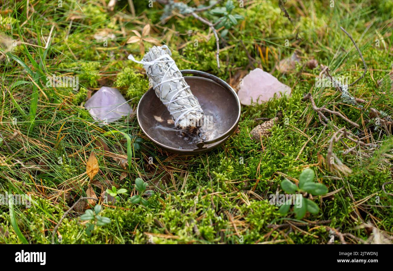 white sage in cup and magical crystals in forest Stock Photo - Alamy
