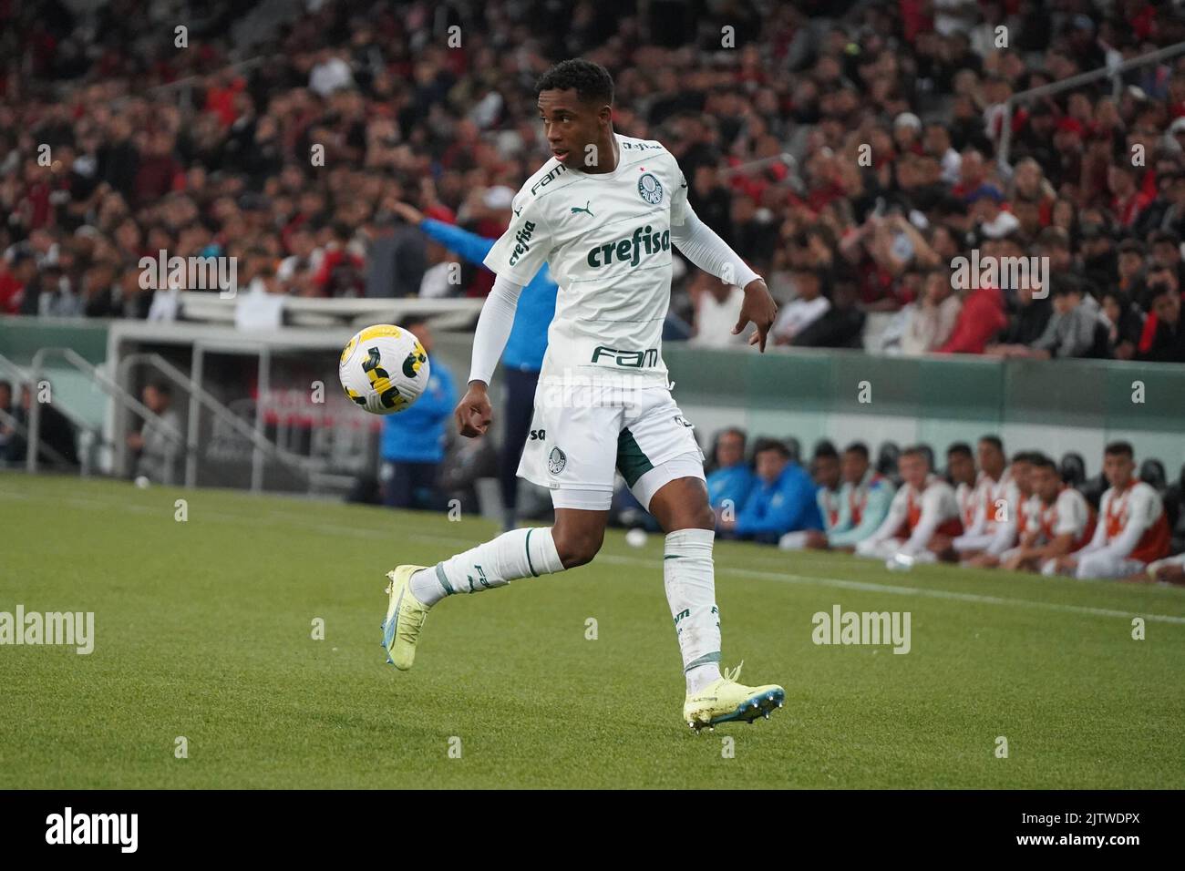 Palmeiras kevin hi-res stock photography and images - Alamy