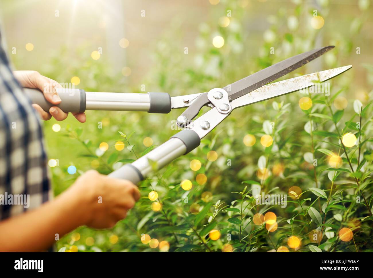 Suburban tree prune hi-res stock photography and images - Alamy