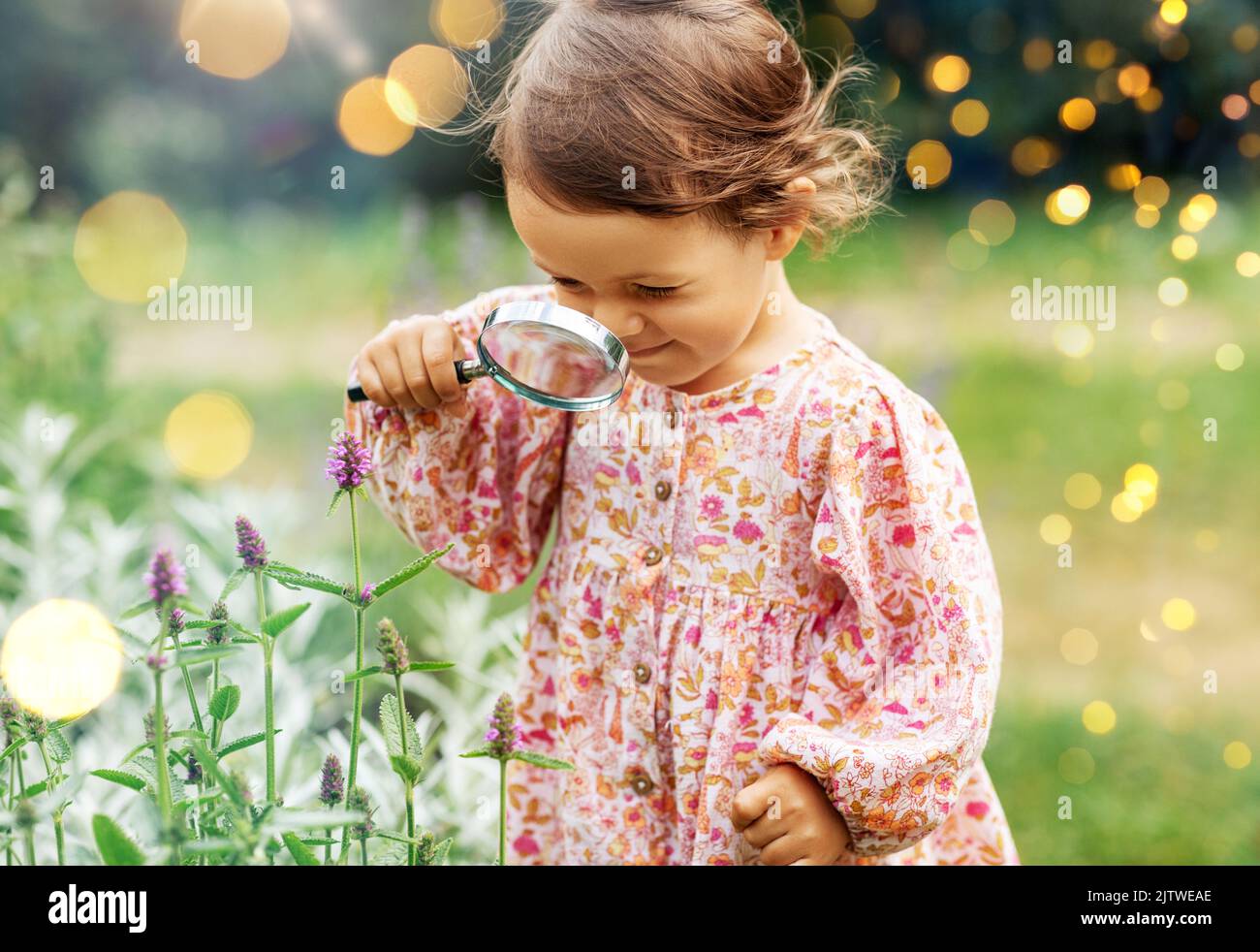 baby girl with magnifier looking at garden flowers Stock Photo - Alamy