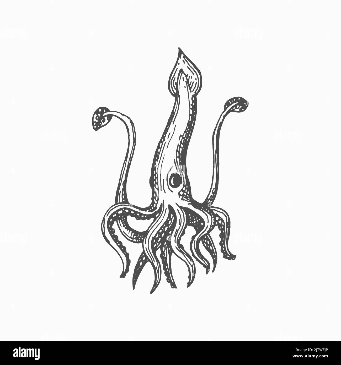 Giant squid isolated marine animal, monochrome sketch icon. Vector ...