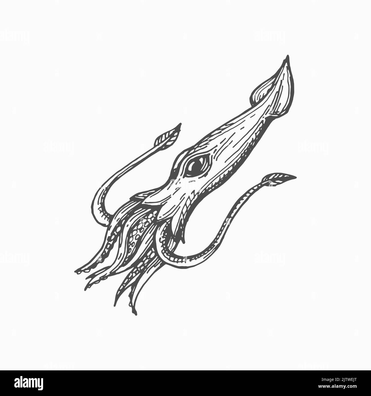 Cuttlefish squid with suckers isolated monochrome sketch icon. Vector ...