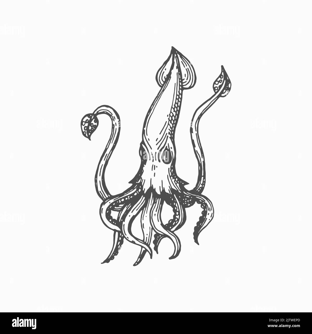 Giant hooked squid isolated marine animal mollusk monochrome sketch ...