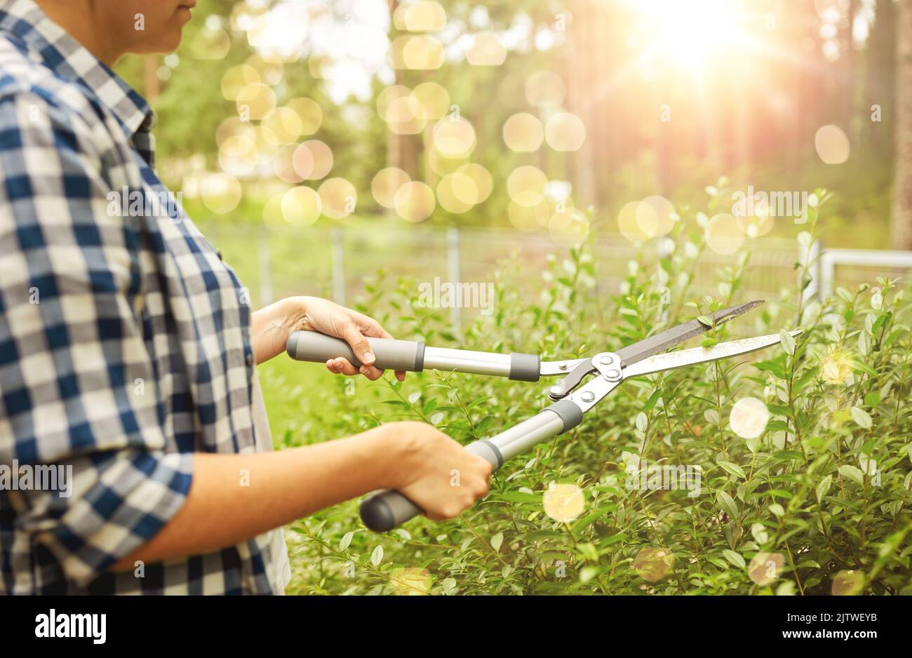 Suburban tree prune hi-res stock photography and images - Alamy