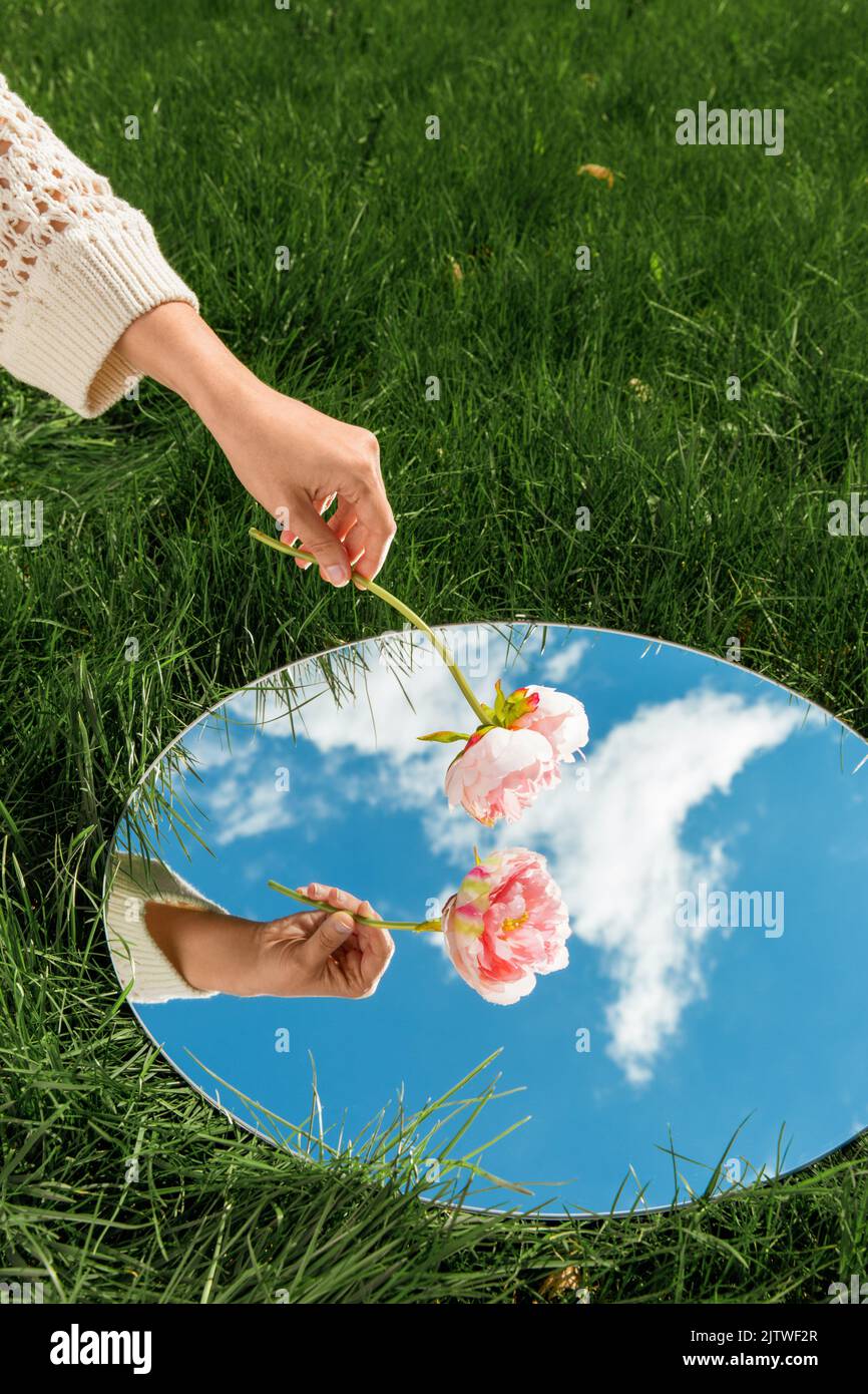 hand with flower and sky reflection in mirror Stock Photo - Alamy