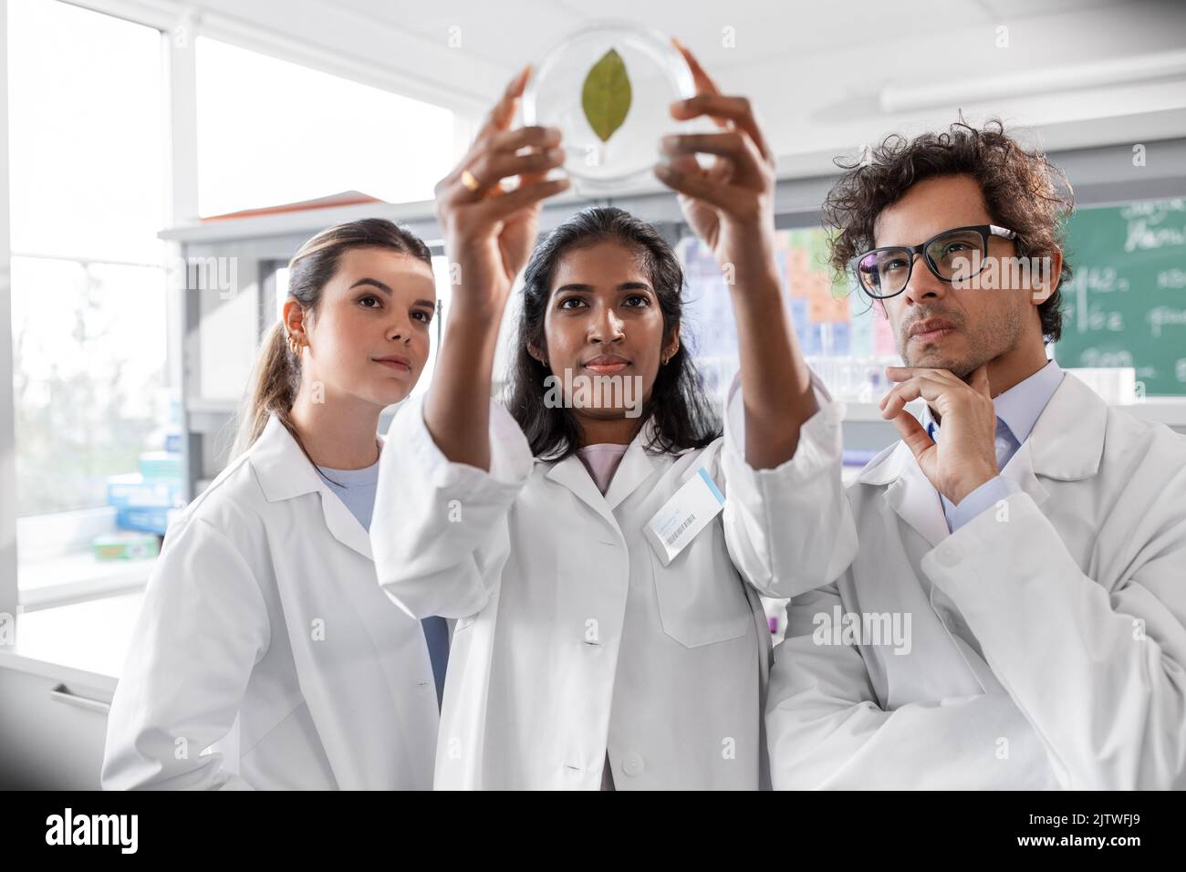 group of scientists with leaf in laboratory Stock Photo - Alamy