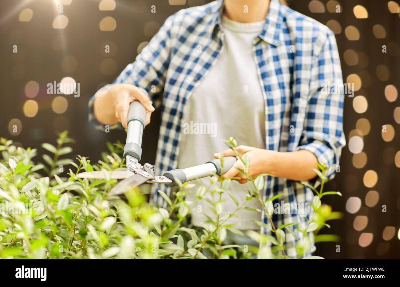 Suburban tree prune hi-res stock photography and images - Alamy