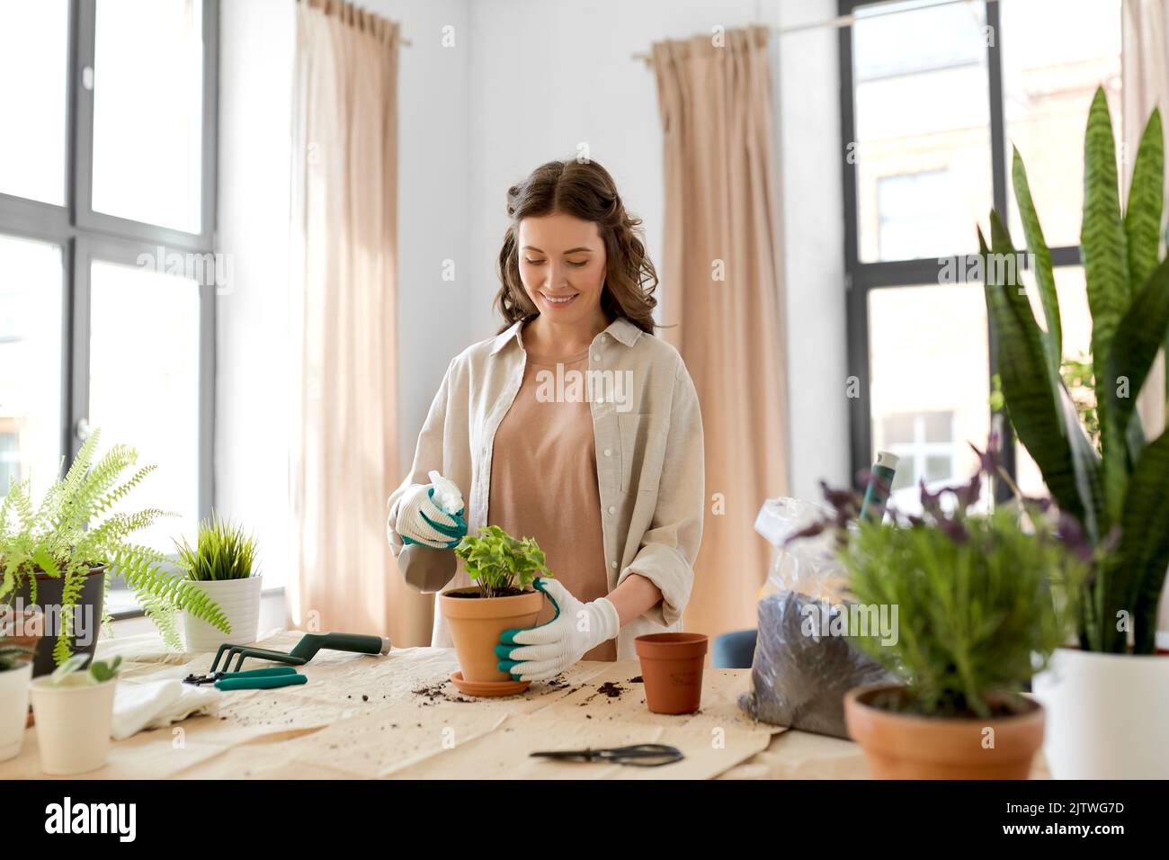 happy woman planting pot flowers at home Stock Photo - Alamy