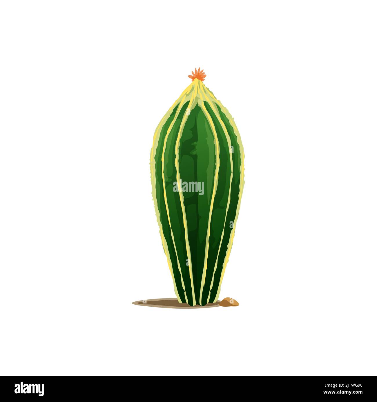 Cactus cartoon prickly plant isolated green mexican desert cacti ...