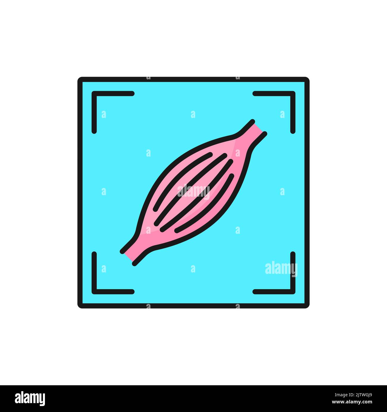 MRI diagnostics, radiology scan and CT tomography, vector color icon ...