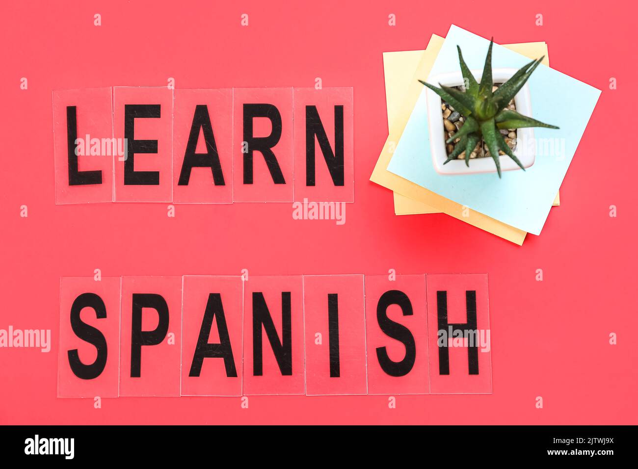 Text LEARN SPANISH with flowerpot and sticky notes on red background ...