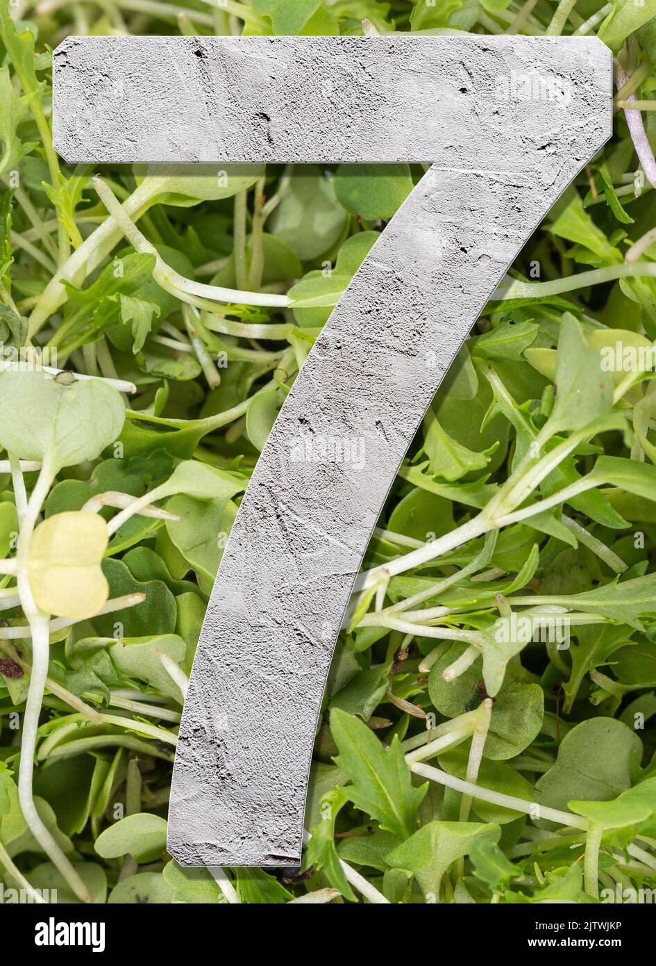Number 7 with concrete texture, on nature background Stock Photo - Alamy