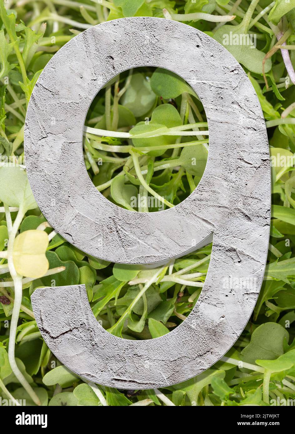 Number 9 with concrete texture, on nature background Stock Photo - Alamy