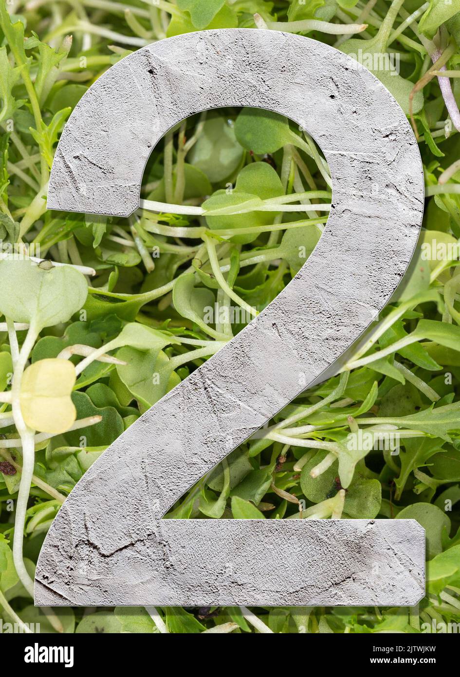 Number 2 with concrete texture, on nature background Stock Photo - Alamy