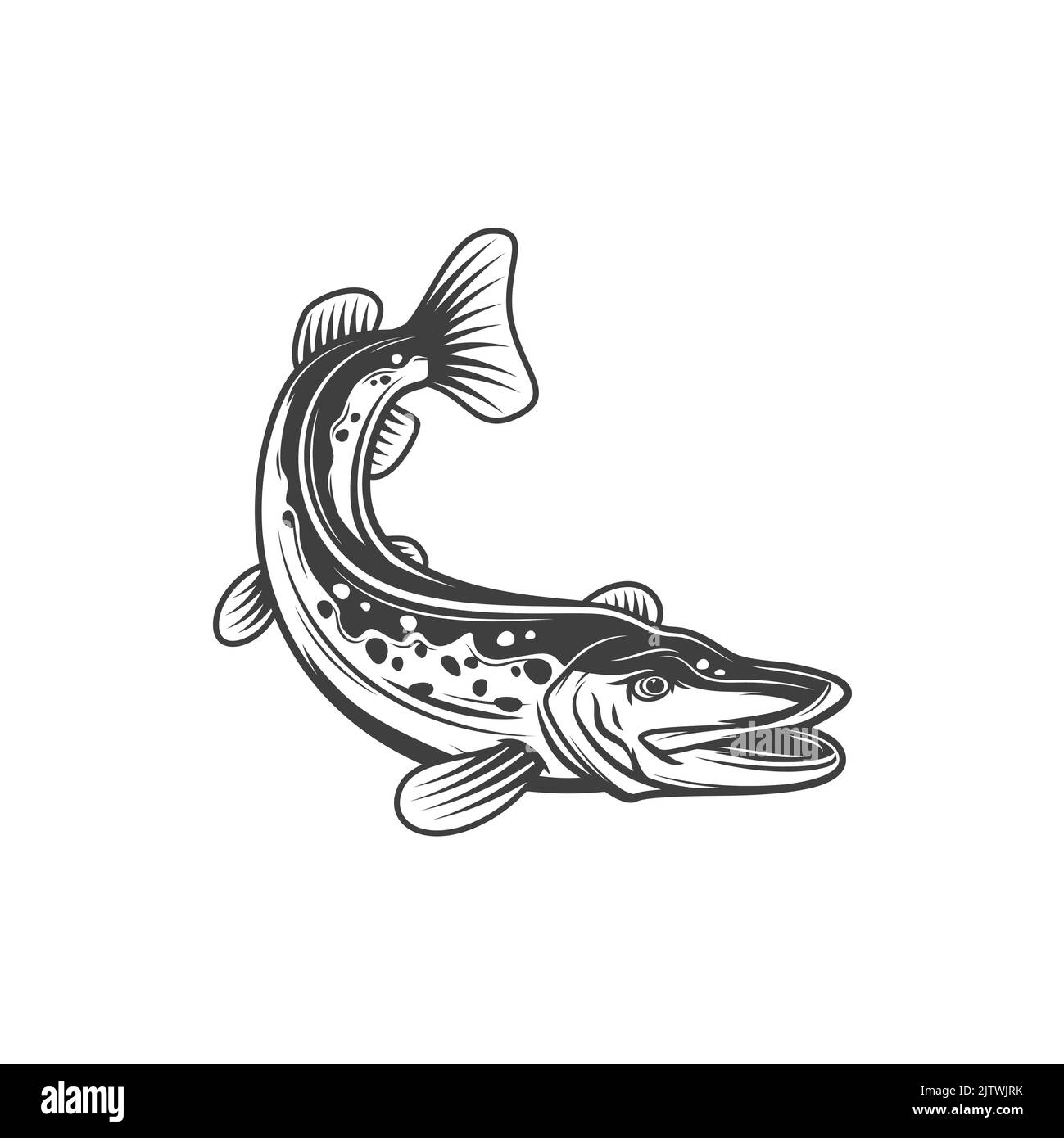 Pike fish, fishing and food vector icon, freshwater fishes. Pike or ...