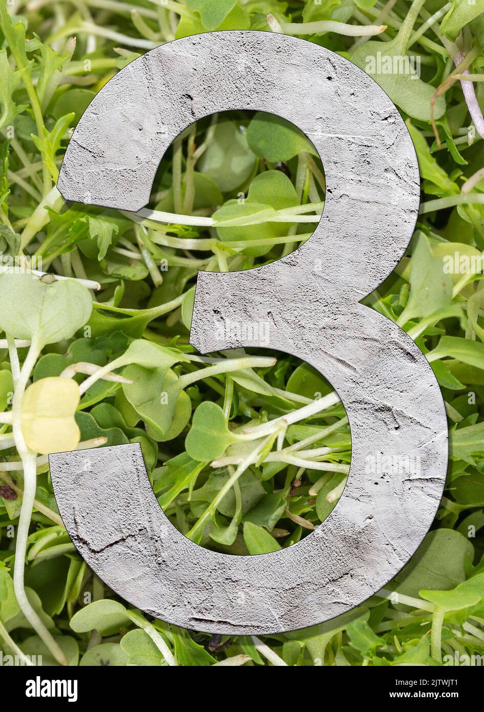 Number 3 with concrete texture, on nature background Stock Photo - Alamy