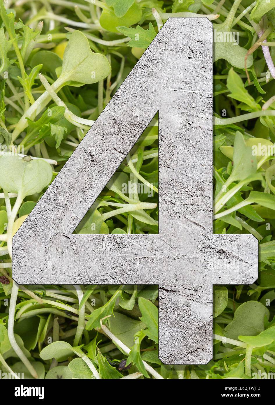 Number 4 with concrete texture, on nature background Stock Photo - Alamy