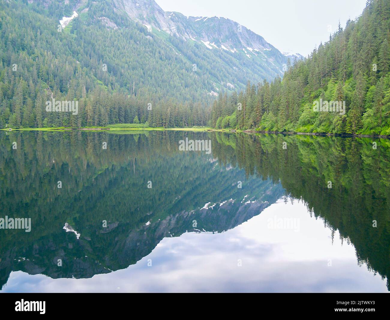 Calm water surrounded by mountains and forest to waters edge ...