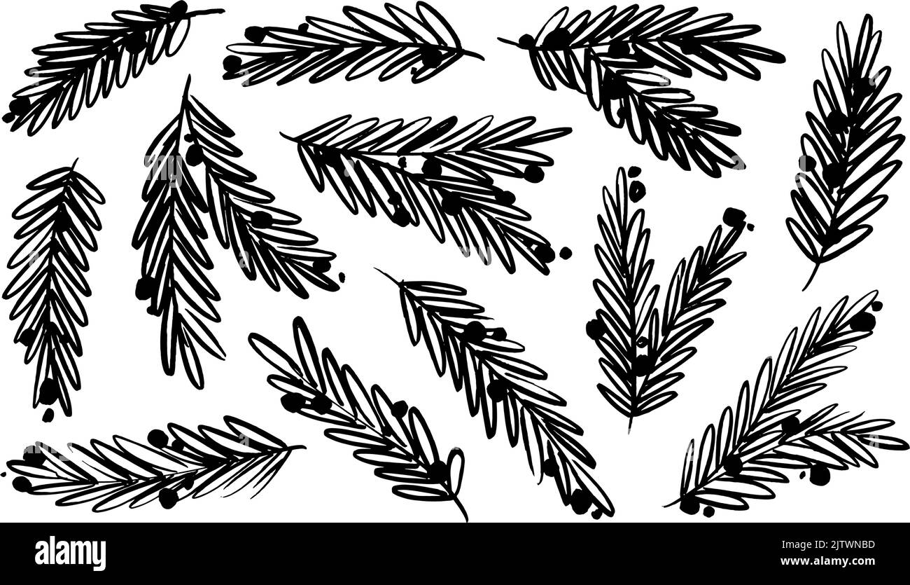 Fir tree branches with balls isolated on white Stock Vector Image & Art ...