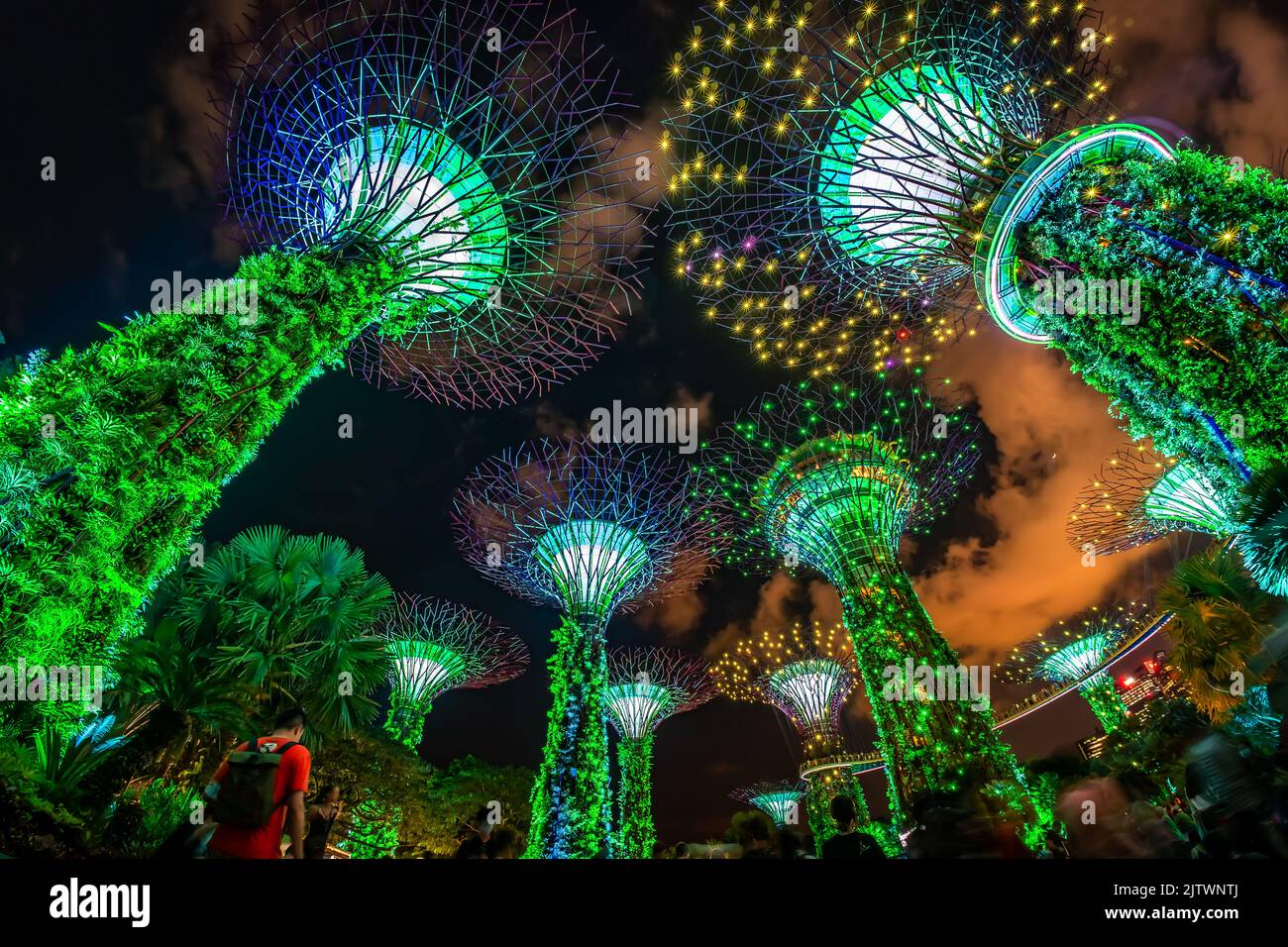 Garden Rhapsody, spectacular light and sound show, at Gardens By The ...